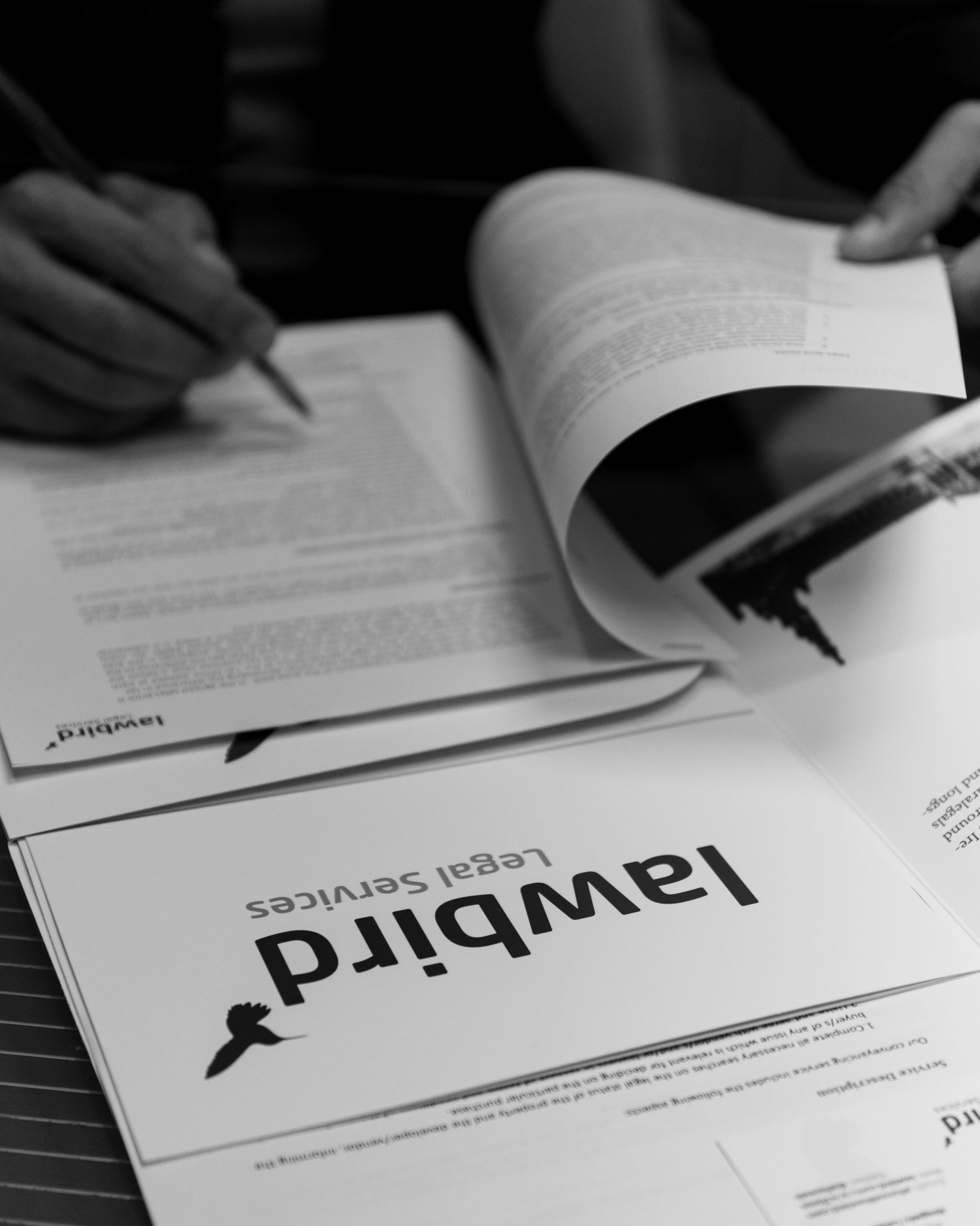 Useek Studio | Lawbird Lawyers